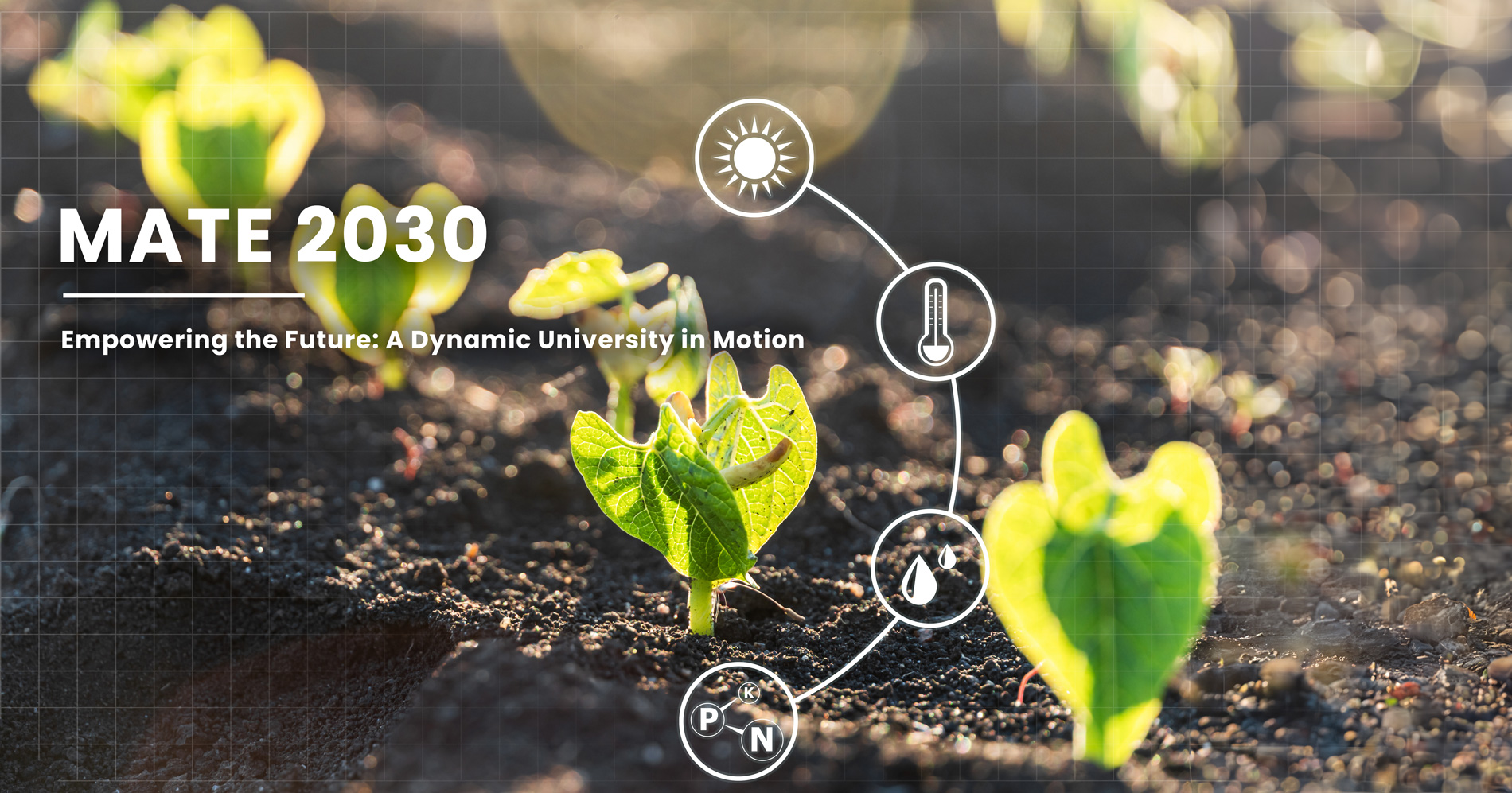 MATE 2030 Strategy - Hungarian University of Agriculture and Life ...